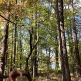 Tree Top Nature Trail, Alabama - 334 Reviews, Map | AllTrails
