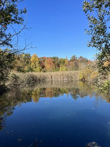 Best Hikes and Trails in Cranberry Lake Preserve | AllTrails