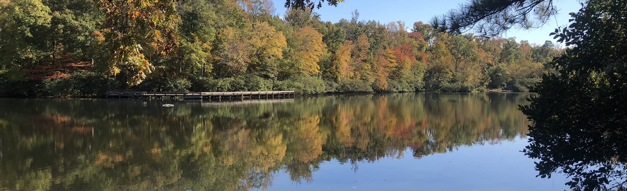 Echo Lake Park Trail, Virginia - 253 Reviews, Map | AllTrails