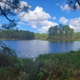 Three Lakes Loop, Florida - 262 Reviews, Map | AllTrails