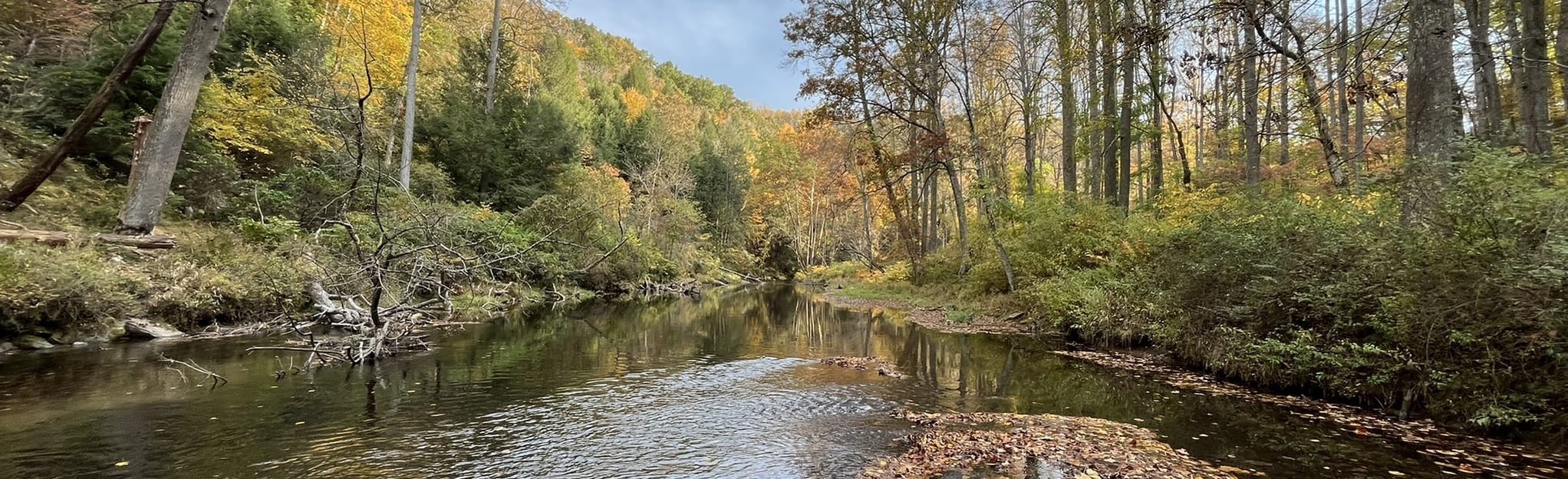 Gunpowder Falls North and South Loop Trail, Maryland - 263 Reviews, Map ...