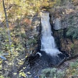 Bushkill Falls Red Trail, Pennsylvania - 507 Reviews, Map | AllTrails
