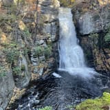 Bushkill Falls Red Trail, Pennsylvania - 536 Reviews, Map | AllTrails