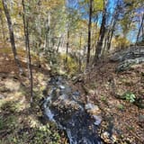 Bushkill Falls Red Trail, Pennsylvania - 536 Reviews, Map | AllTrails