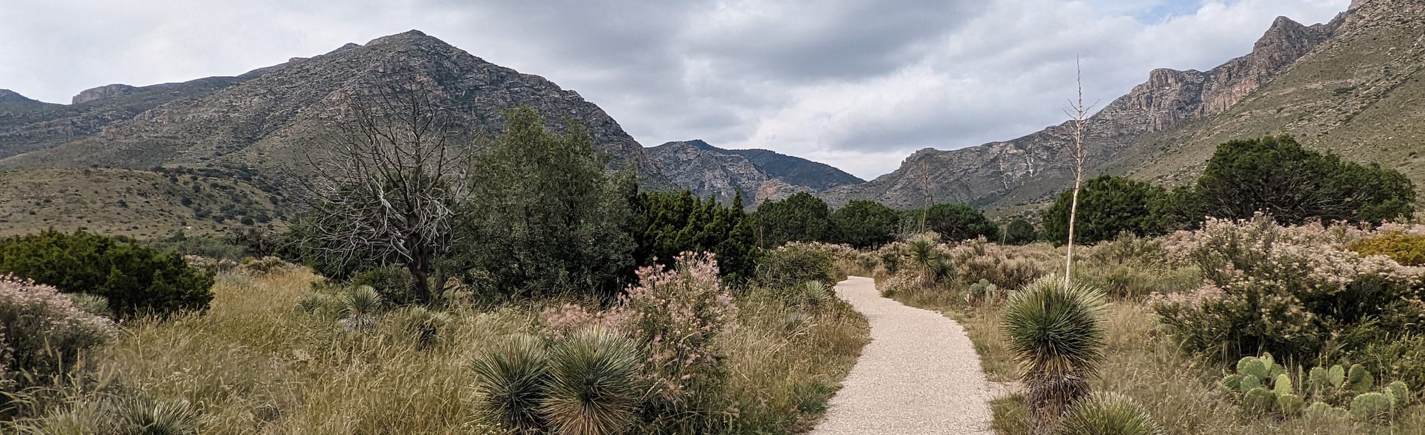 The Pinery: 406 Reviews, Map - Texas | AllTrails