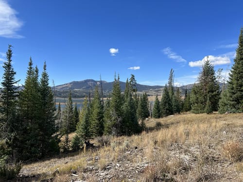 Best Hikes and Trails in Steamboat Lake State Park | AllTrails