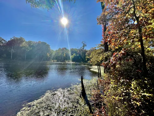 Best Easy Trails in North Point State Park | AllTrails