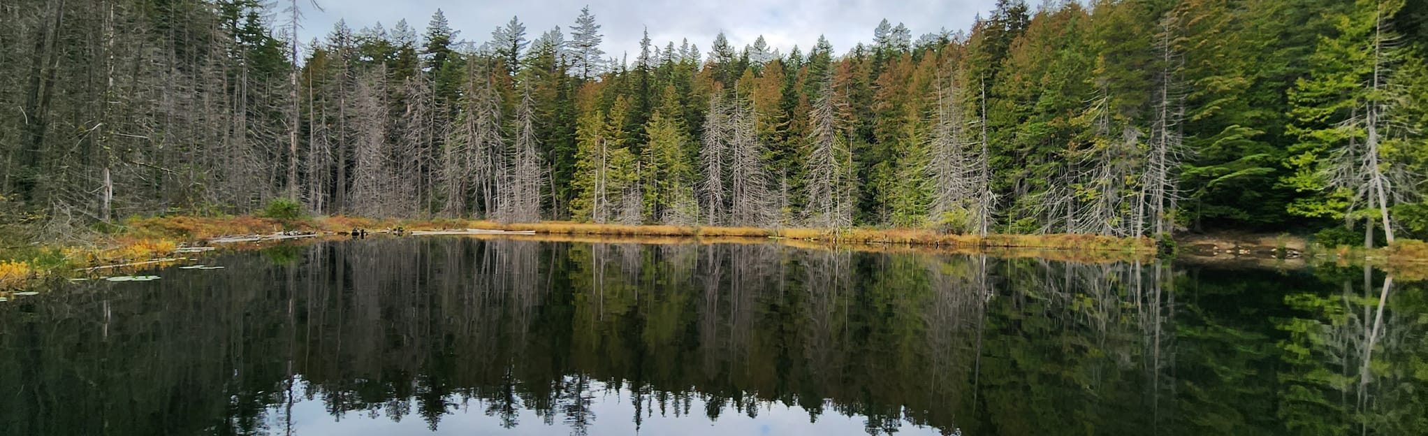 Whyte Lake via Baden Powell Trail: 143 Reviews, Map - British Columbia ...