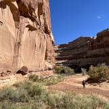 Maze Overlook Trail, Utah - 26 Reviews, Map | AllTrails