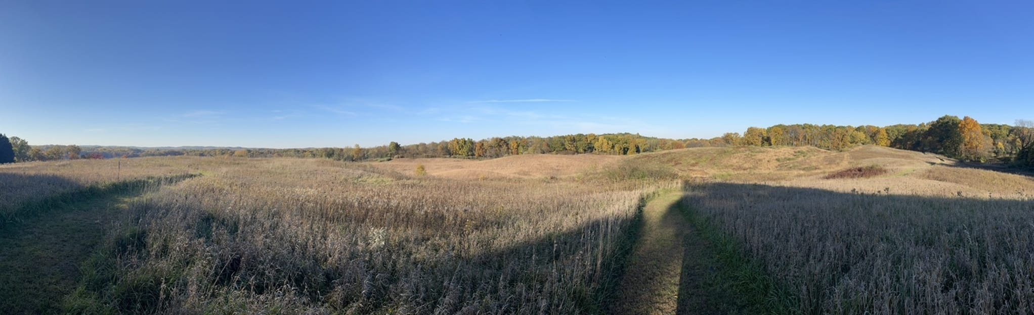 Otis Farm Bird Sanctuary Loop - Michigan | AllTrails