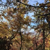 Lumber Ridge Trail, Tennessee - 211 Reviews, Map | AllTrails