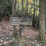 Lumber Ridge Trail, Tennessee - 211 Reviews, Map | AllTrails