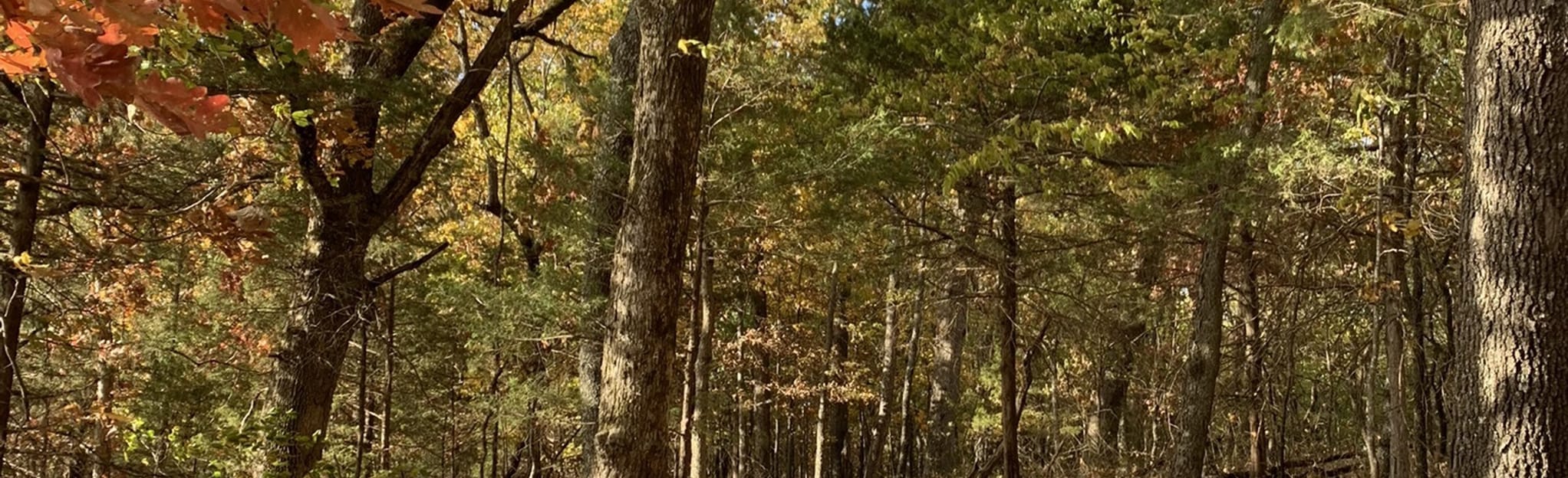 The Hoff Trail, Missouri - 53 Reviews, Map | AllTrails