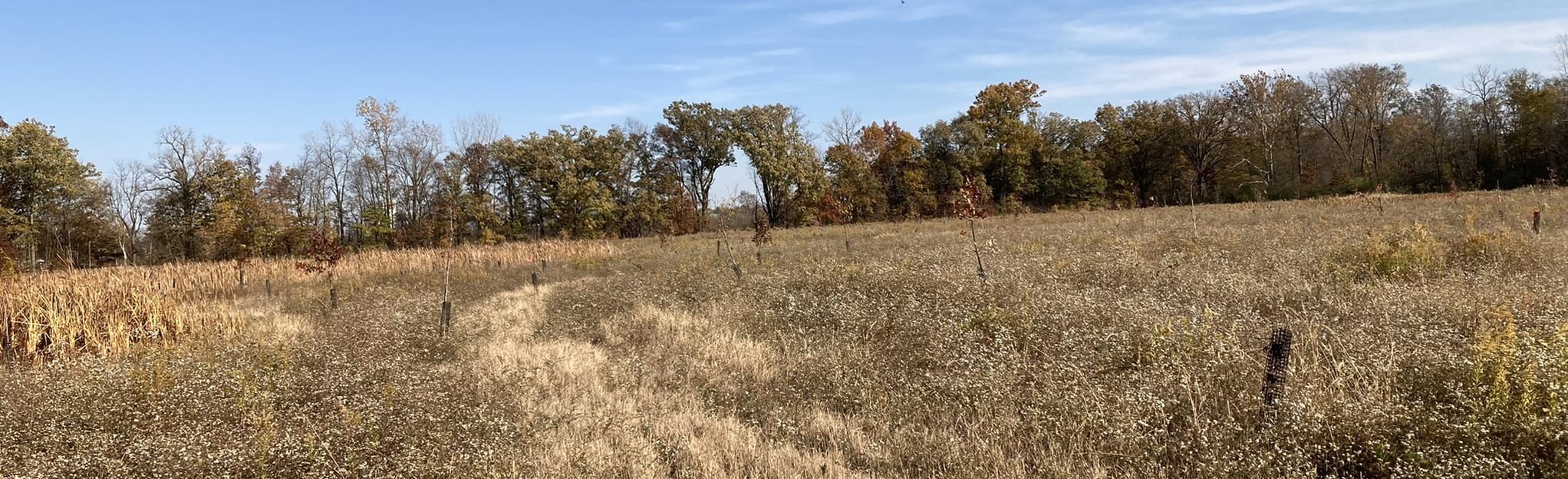 Oakwoods Nature Preserve Loop: 75 Reviews, Map - Ohio | AllTrails