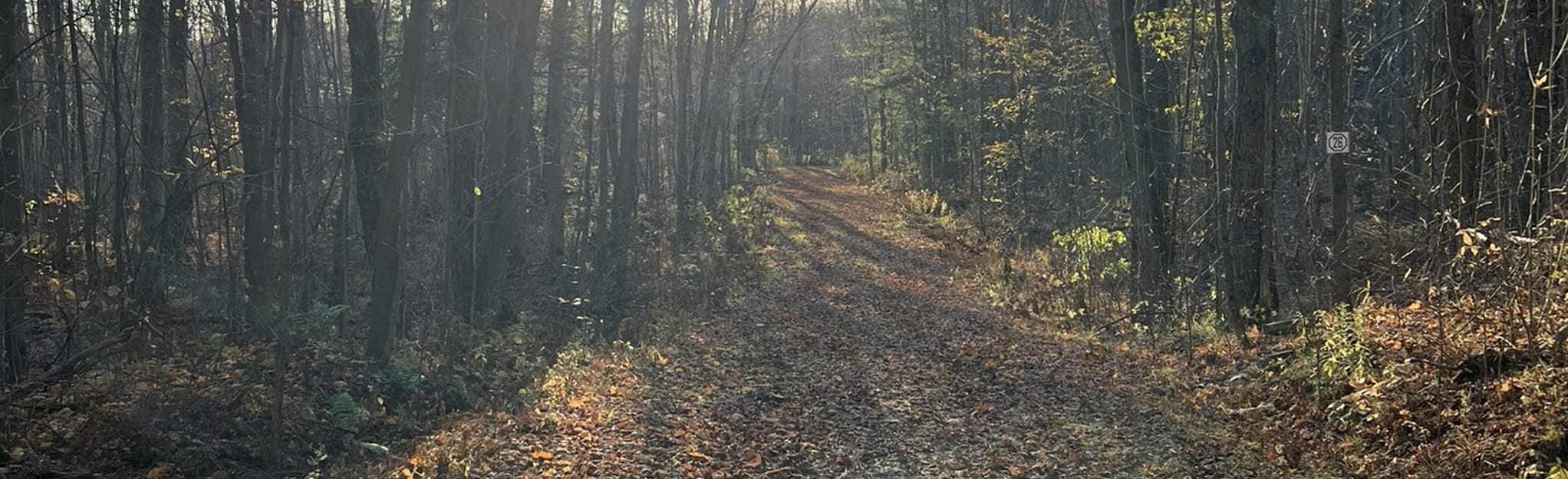 Larose Forest Loop, Ontario, Canada - 289 Reviews, Map | AllTrails