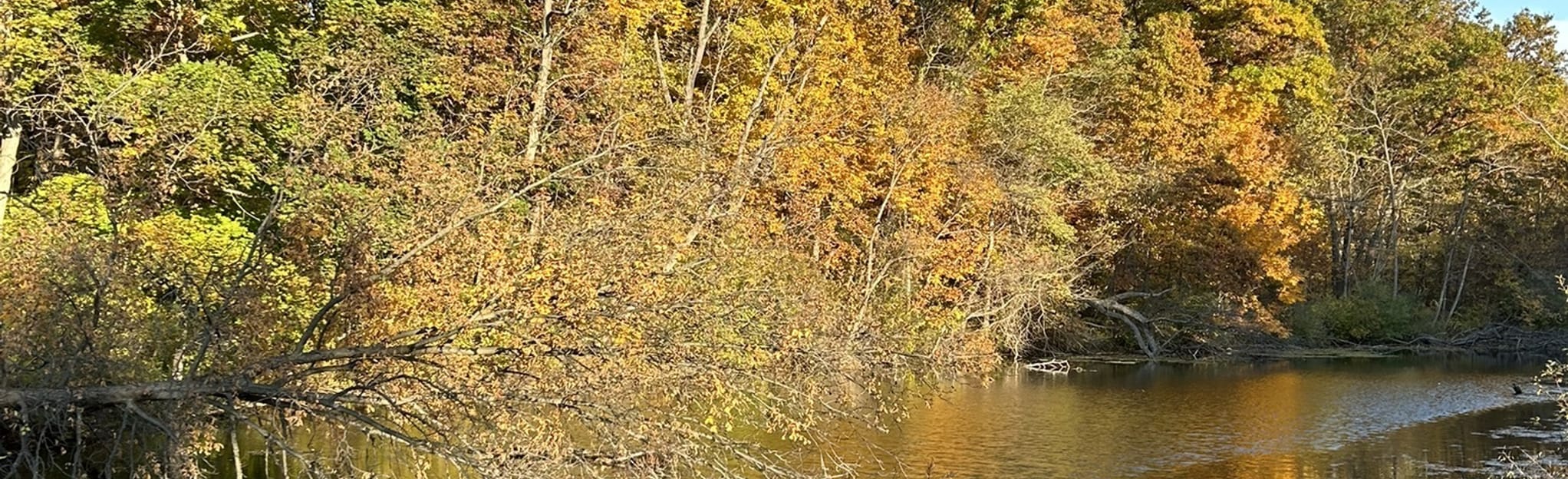 Paint Creek Trail, Michigan - 684 Reviews, Map | AllTrails