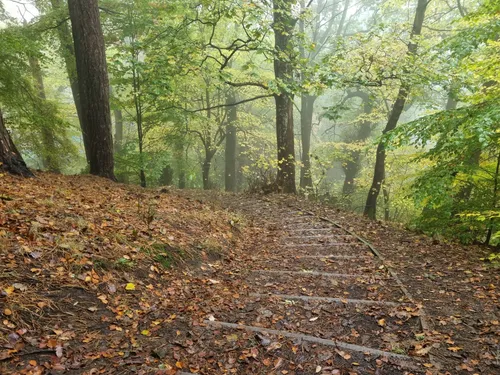 Best Hikes and Trails in Balgay Hill | AllTrails