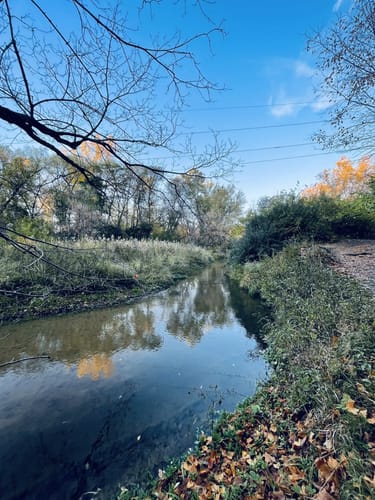 2023 Best 10 Trails and Hikes in Rochester | AllTrails