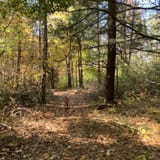 Rock Point Provincial Park, Ontario, Canada - 44 Reviews, Map | AllTrails