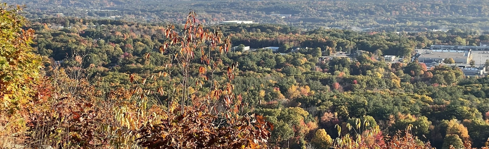 North Monoosnoc Hill Loop, Massachusetts - 327 Reviews, Map | AllTrails