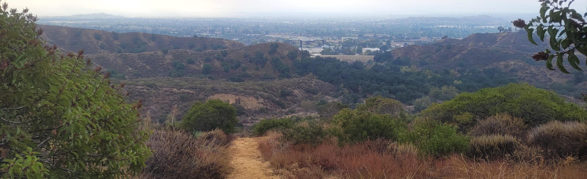 Los Pinetos Trail from Wilson Canyon Debris Basin - California | AllTrails