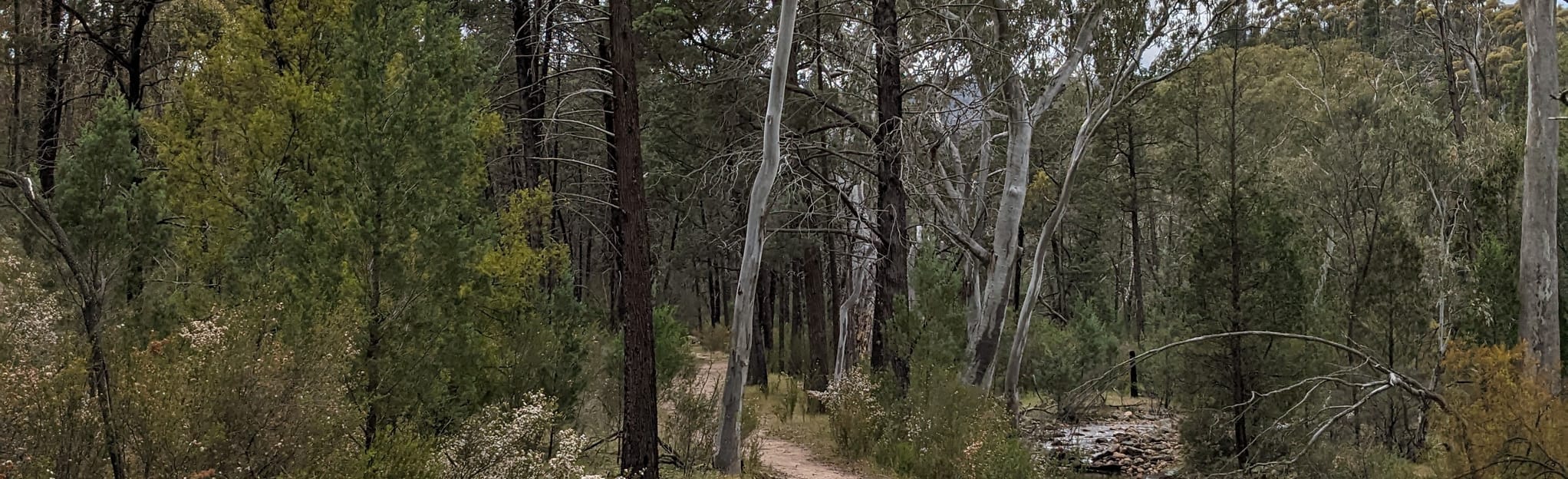 Hidden Gorge: Alligator Creek Return, South Australia, Australia - 18 ...