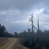 Newhall Pass: Weldon Canyon Trail, California - 236 Reviews, Map ...