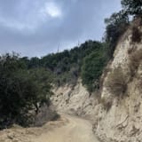 Newhall Pass: Weldon Canyon Trail, California - 236 Reviews, Map ...