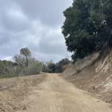 Newhall Pass: Weldon Canyon Trail, California - 236 Reviews, Map ...