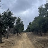 Newhall Pass: Weldon Canyon Trail, California - 236 Reviews, Map ...