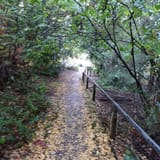 Camp Long Trails, Washington - 147 Reviews, Map | AllTrails