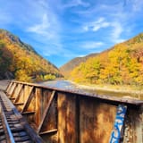 Lost Cove Trail, North Carolina - 212 Reviews, Map | AllTrails