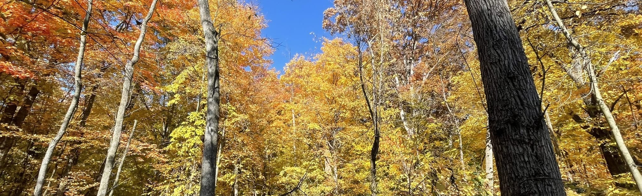 Falk Park Trail: 58 Reviews, Map - Wisconsin | AllTrails