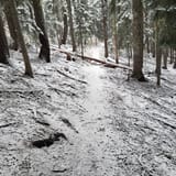 Badger Lake Trail, Oregon - 64 Reviews, Map | AllTrails