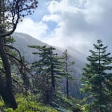 Badger Lake Trail, Oregon - 64 Reviews, Map | AllTrails