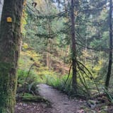 Cedars Mill Trail, British Columbia, Canada - 795 Reviews, Map | AllTrails