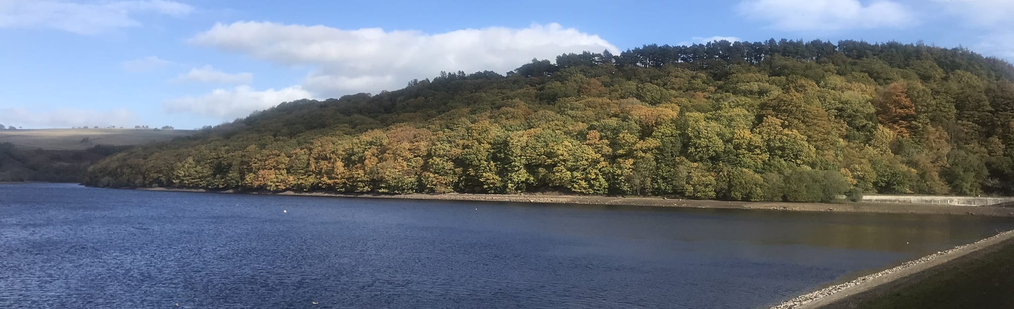 Tunstall Reservoir Circular, County Durham, England - 44 Reviews, Map ...