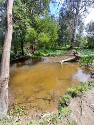 Best Hikes and Trails in Rokeby Flora Reserve | AllTrails