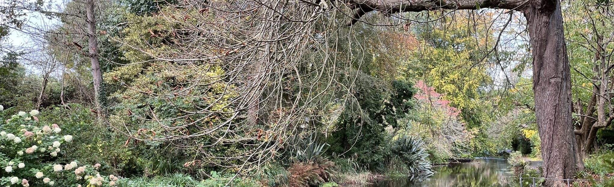 AllTrails | Mount Usher Gardens: 5 Reviews, Map - County Wicklow, Ireland