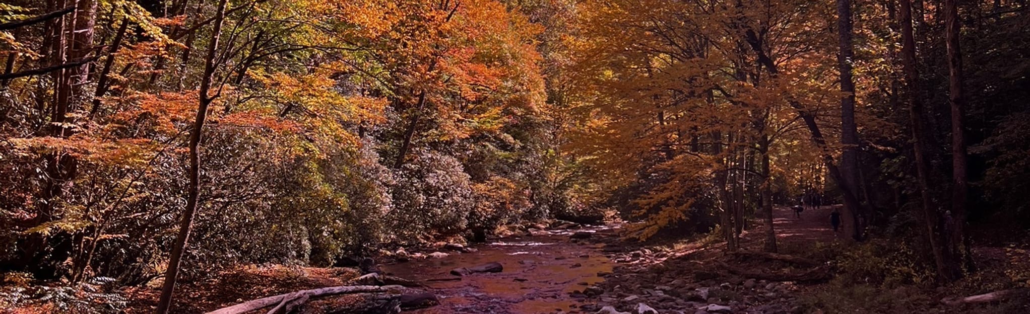 Thomas Divide and Indian Creek Motor Trail Loop, North Carolina - 30 ...