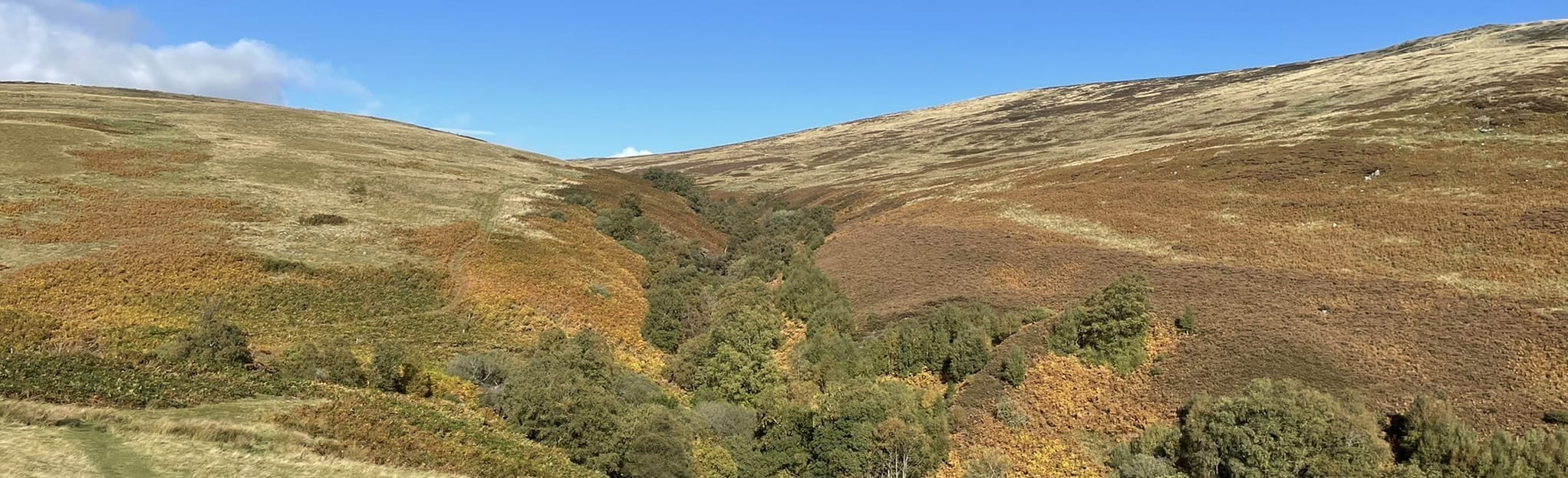 Hartside to Linhope Spout: 117 Reviews, Map - Northumberland, England ...