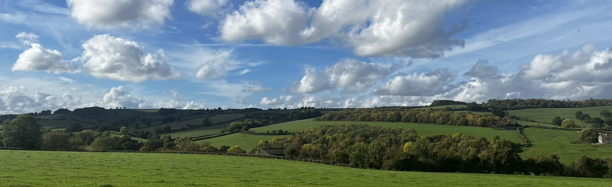 Englishcombe Circular, Somerset, England - 40 Reviews, Map | AllTrails