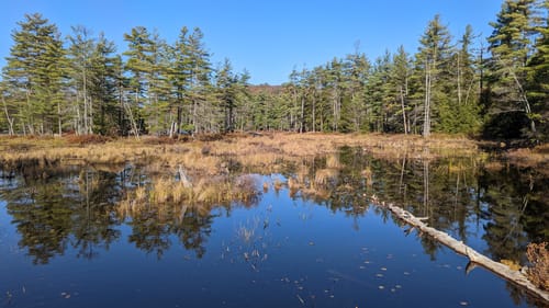 2023 Best 10 Camping Trails in Pharaoh Lake Wilderness | AllTrails