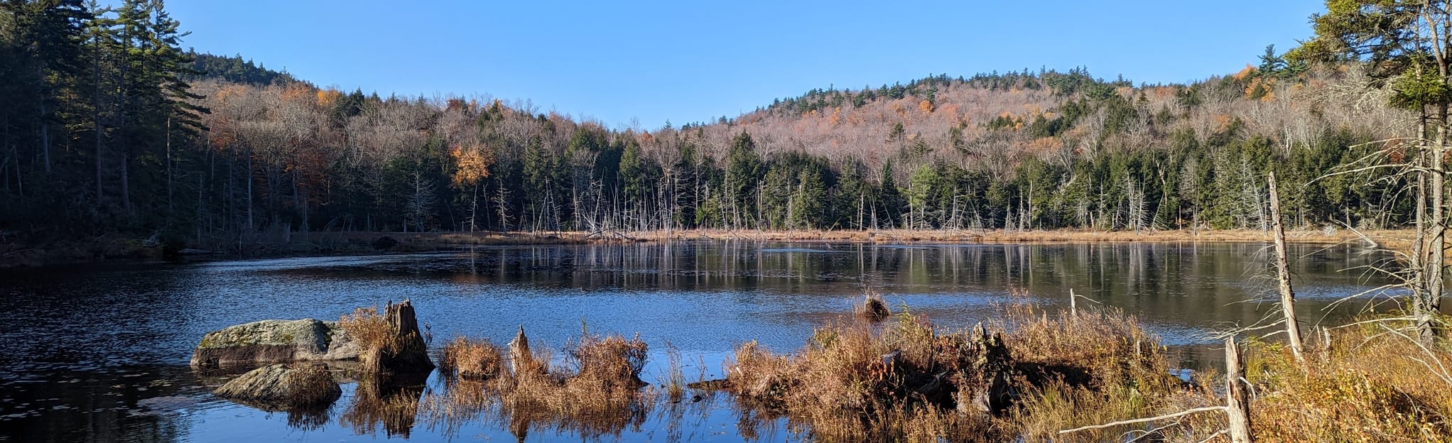 Putnam Pond Loop: 97 Reviews, Map - New York | AllTrails