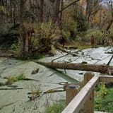 Genesee County Park and Forest Trail, New York - 284 Reviews, Map ...