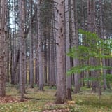 Genesee County Park and Forest Trail, New York - 284 Reviews, Map ...