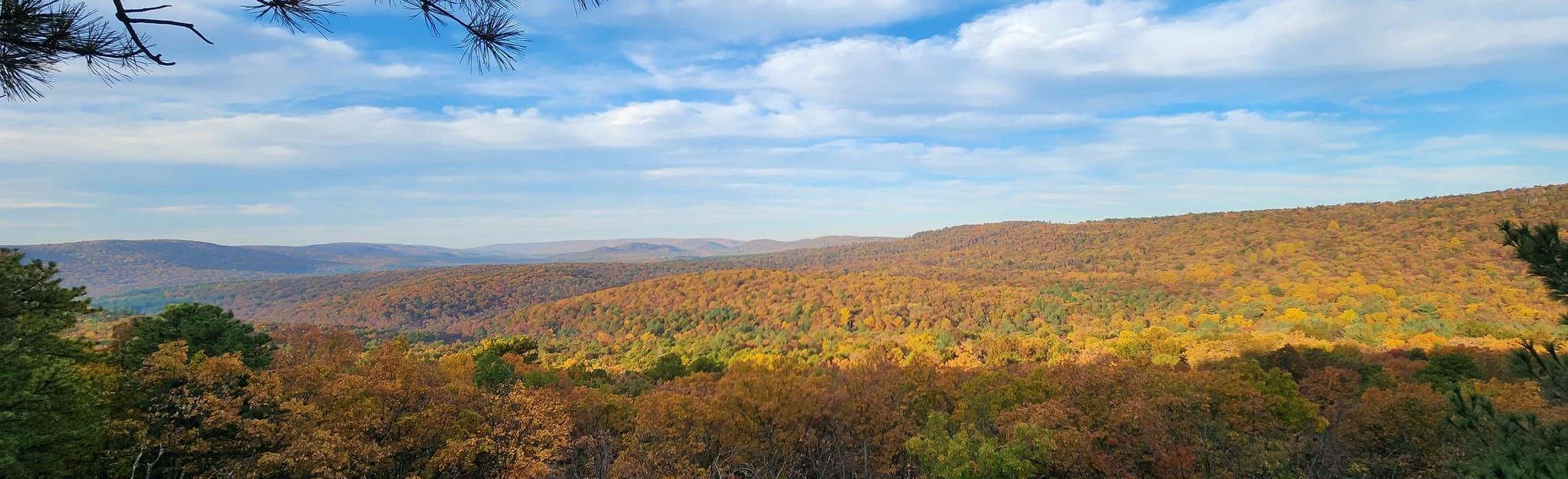 Hammonds Rocks Trail, Pennsylvania - 133 Reviews, Map | AllTrails