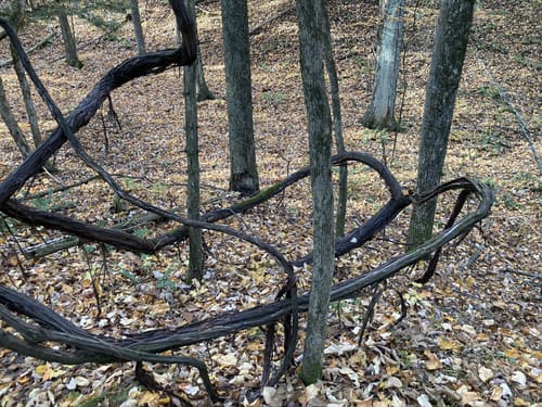 Best Hikes and Trails in Slate Valley Trails | AllTrails