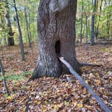 Mount Tom Tower Trail, Connecticut - 294 Reviews, Map | AllTrails