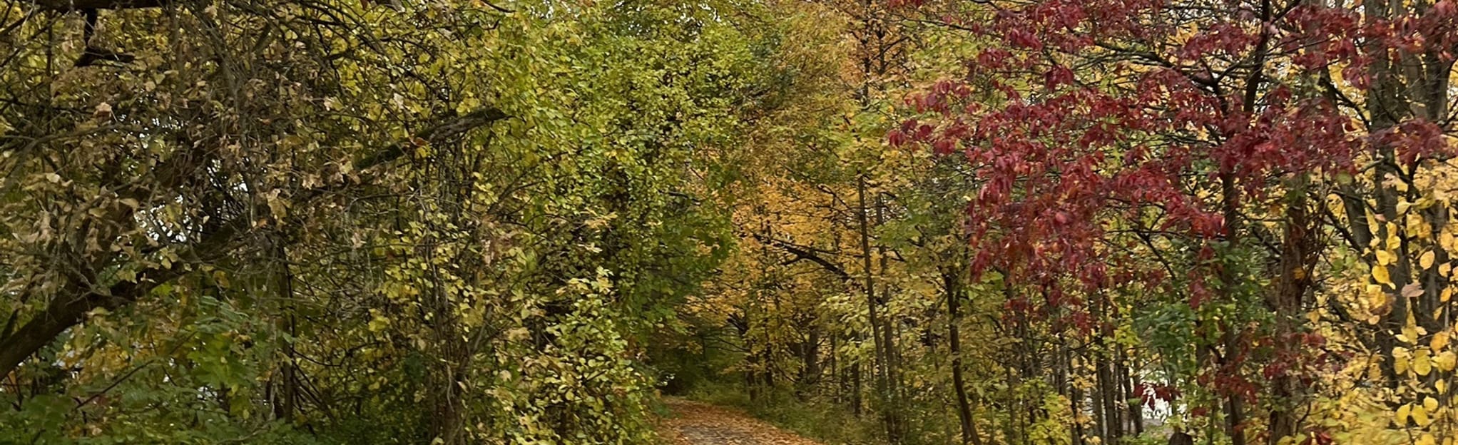 Montour Trail: Groveton Park to McDonald: 27 Reviews, Map ...